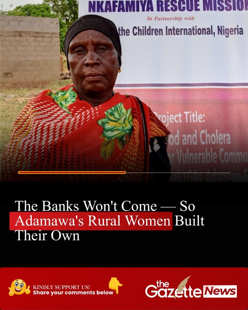 Adamawa Women Financial Inclusion Adashi Groups – NNNGO